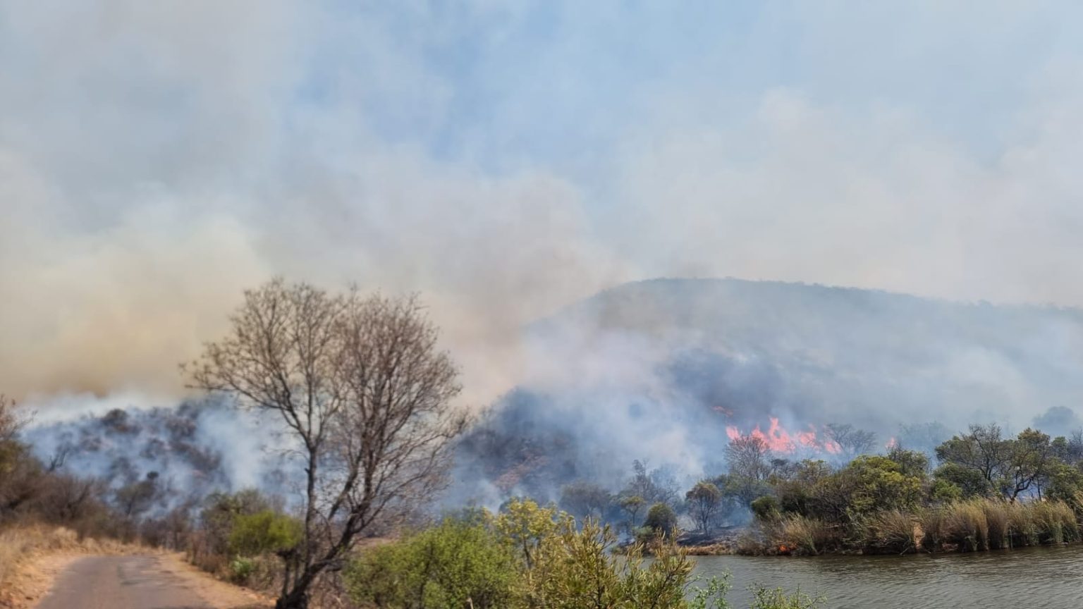 Two Years of Renewal: How Mabalingwe’s Bushveld Has Flourished After ...